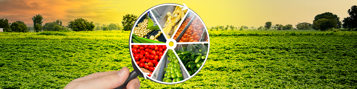 Home ARTICLES & BLOGS Agri-Food Processing: Unveiling Potential at WIC