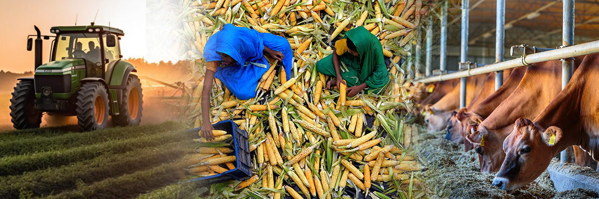 Agro Food Cluster Interim Budget Highlights (2024-25)